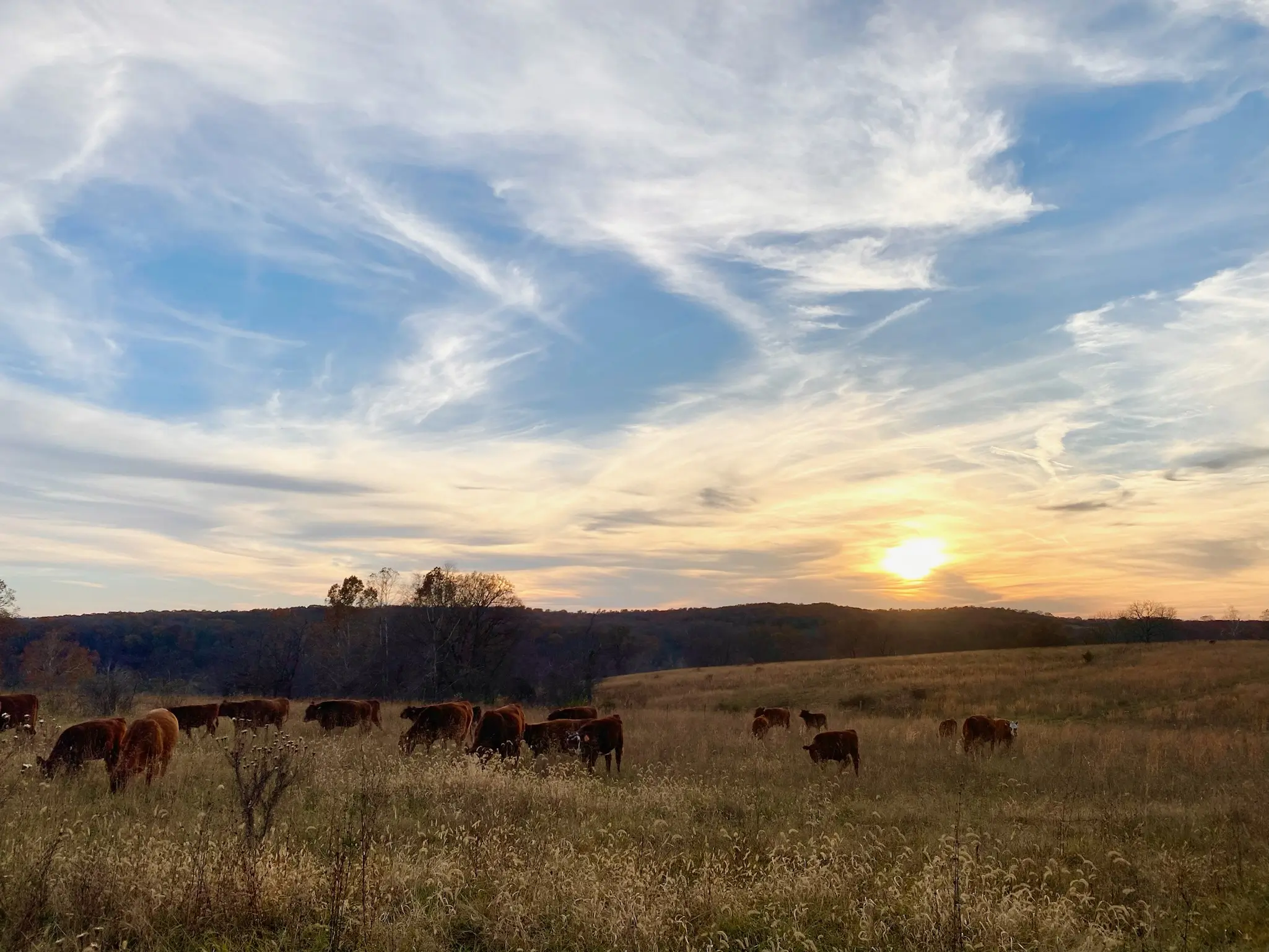 Home - 3 Bar H Ranch