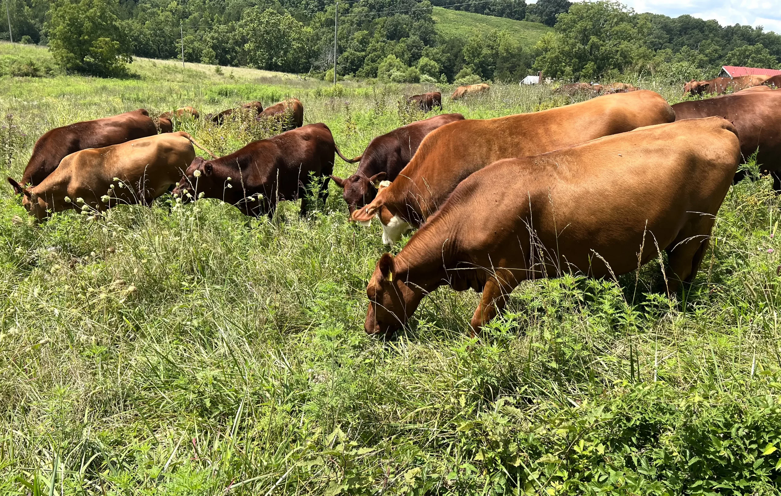 About - 3 Bar H Ranch